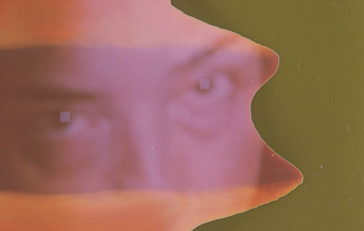 Grouper – Shade